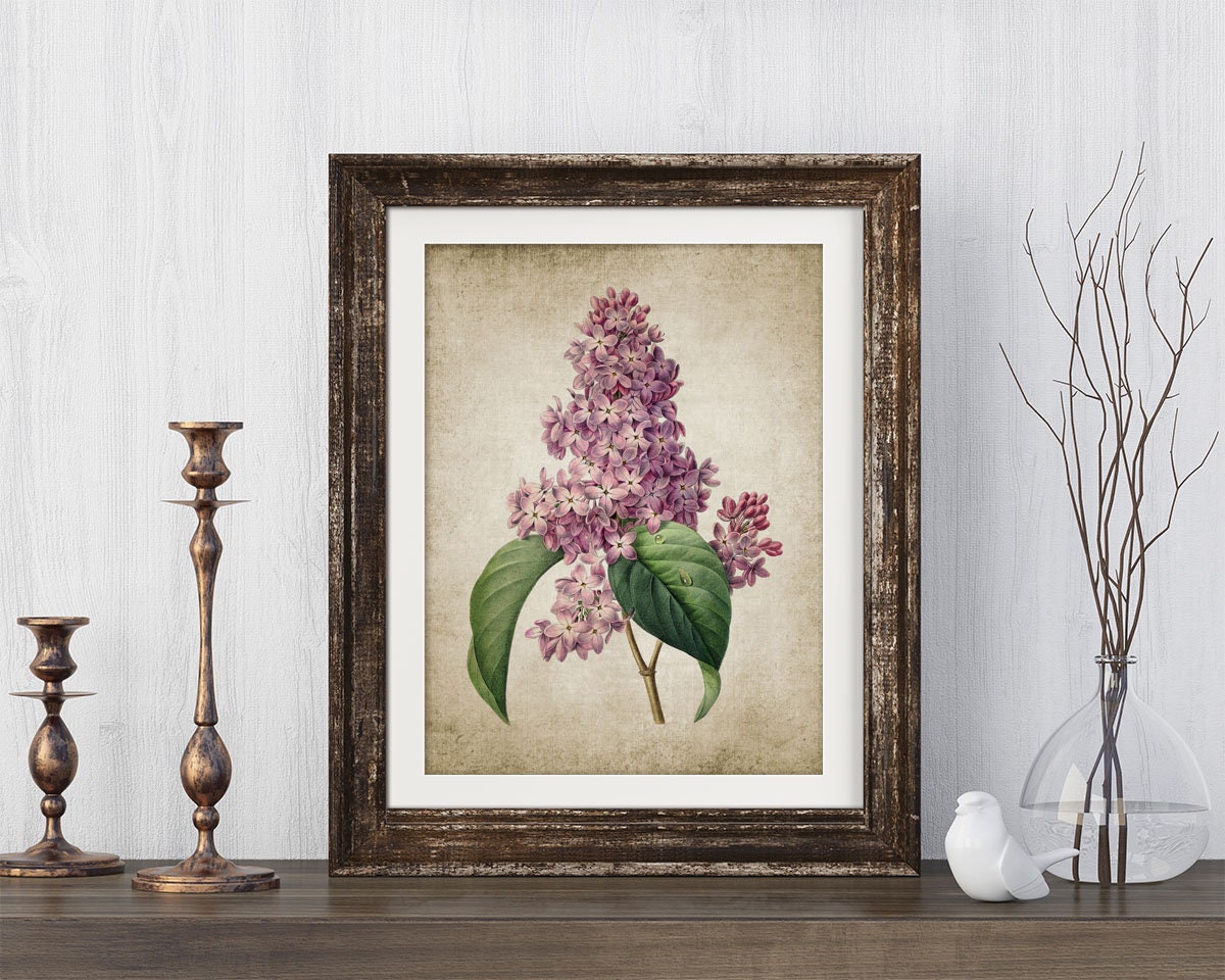 Lilac Flower Wall Art Print Rustic Wall Decor Lilac Tree - Etsy UK
