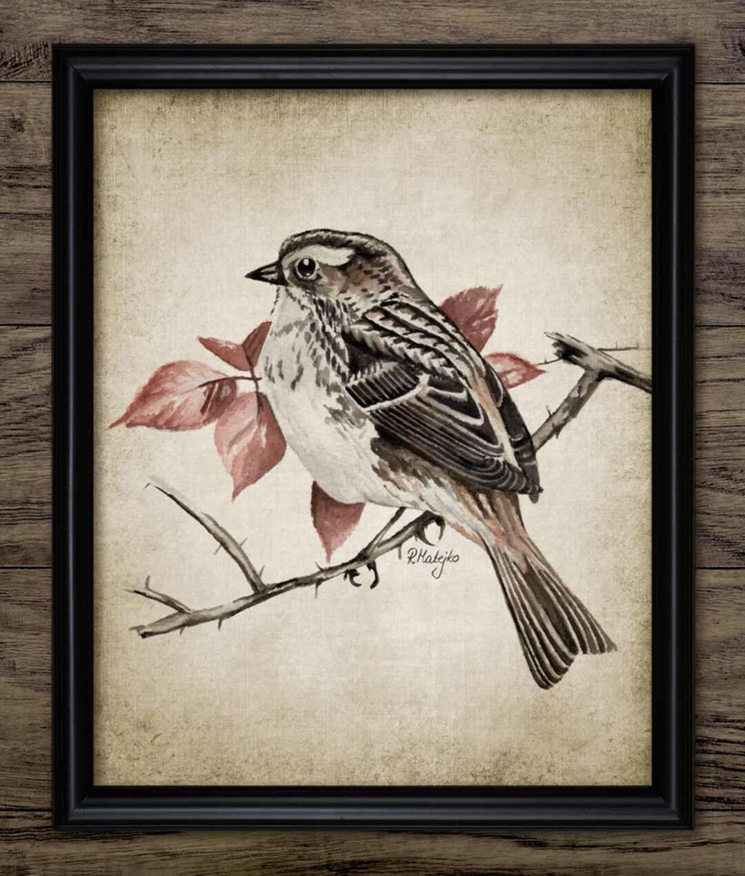 White-throated Sparrow Print - American Sparrow Watercolor Bird Art ...