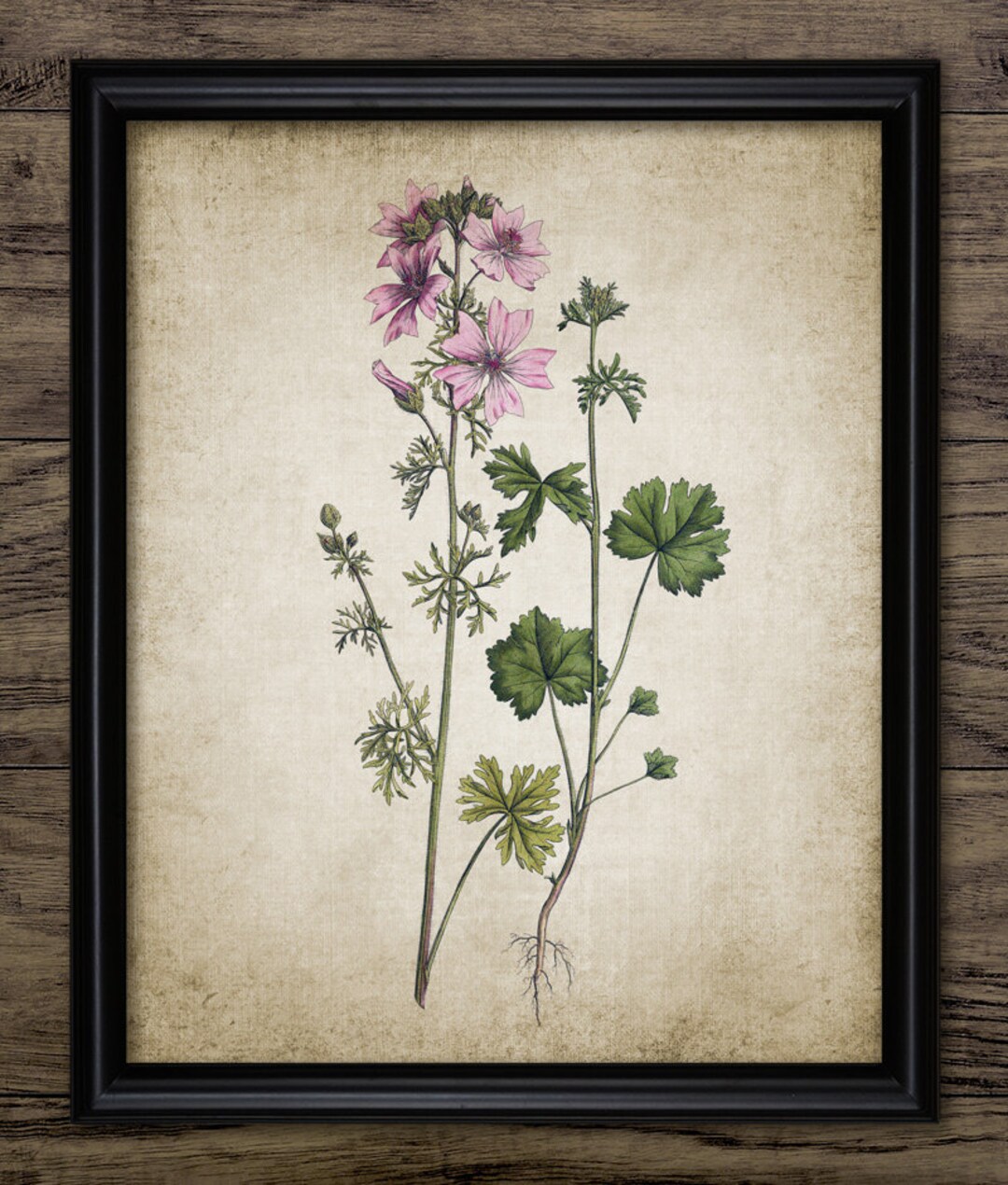 Pink Flower Wall Art, Printable Pink Flowers, Vintage Botanical Art ...
