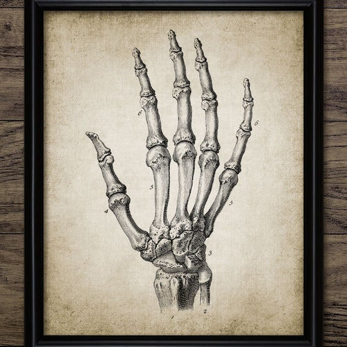 Hand Anatomy Wall Art Printable Human Biology Human Hand - Etsy