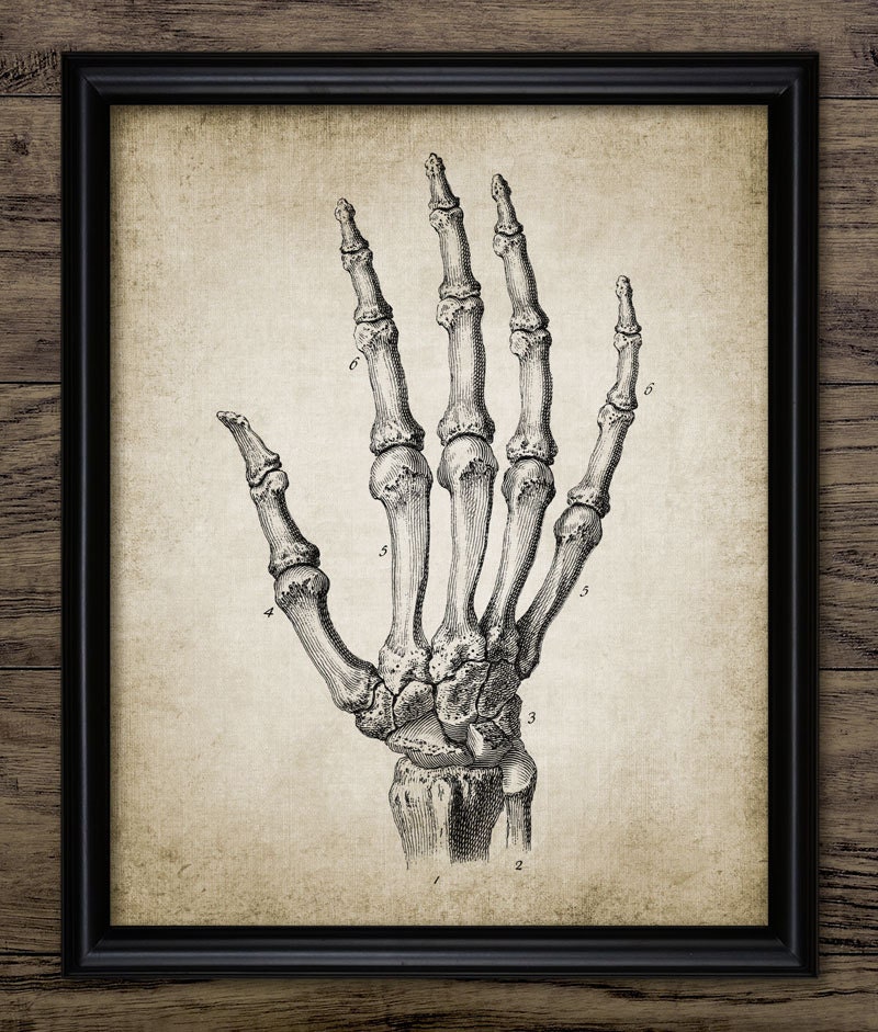 Hand anatomie kunst aan de muur, afdrukbare menselijke biologie ...
