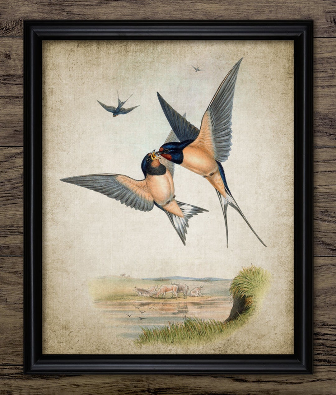 Swallow Bird Wall Art, Vintage Digital Print, Printable Swallow, Rustic ...