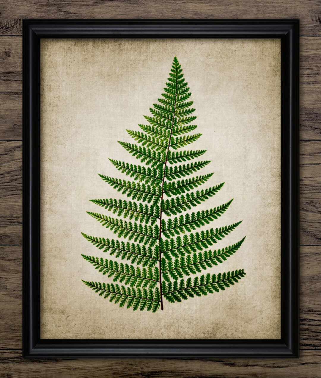 Fern Wall Art, Printable Fern, Woodland Fern, Forest Fern, Vintage ...