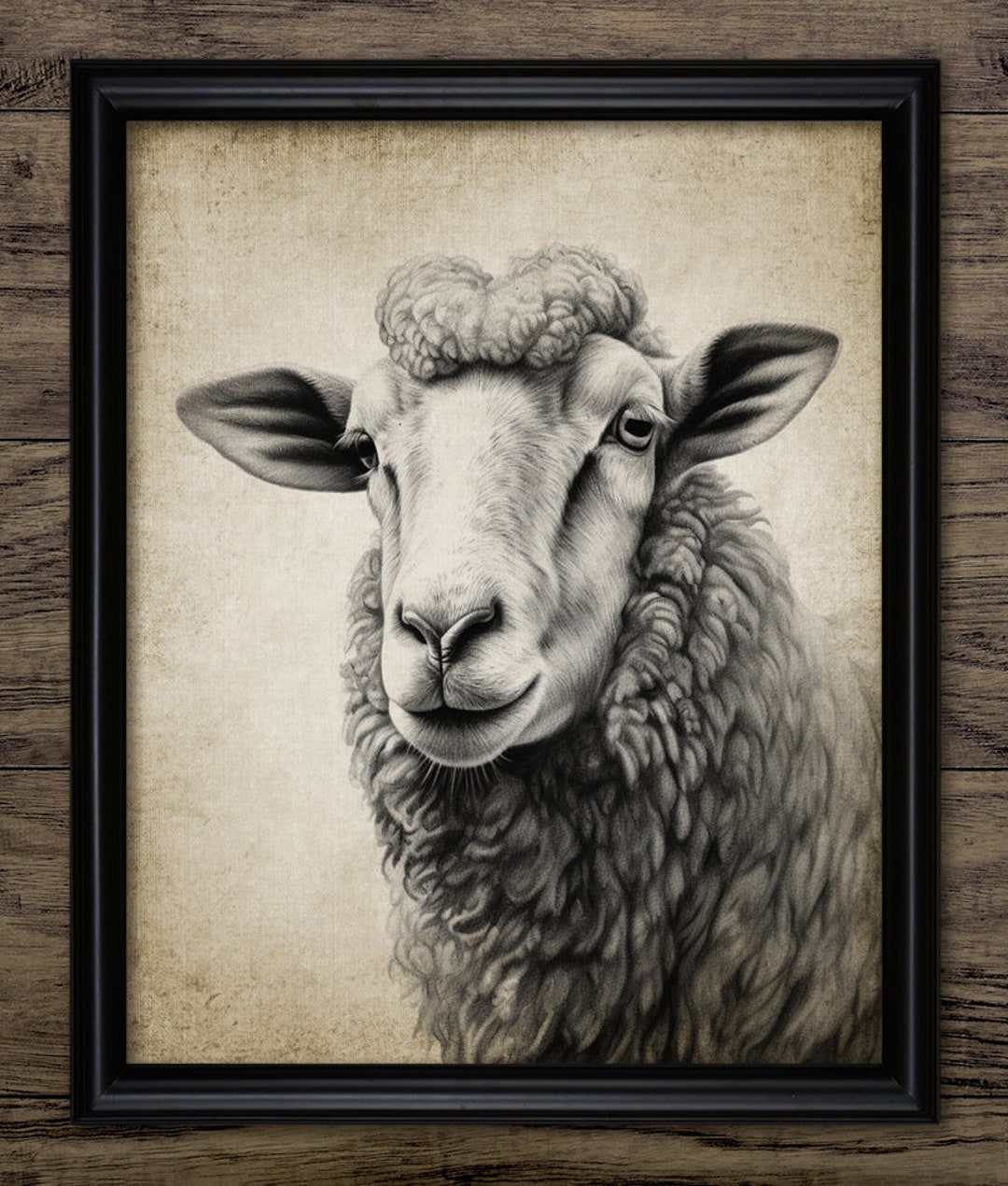 Sheep Wall Art, Printable Sheep, Sheep Farming, Farm Animal, Sheep ...