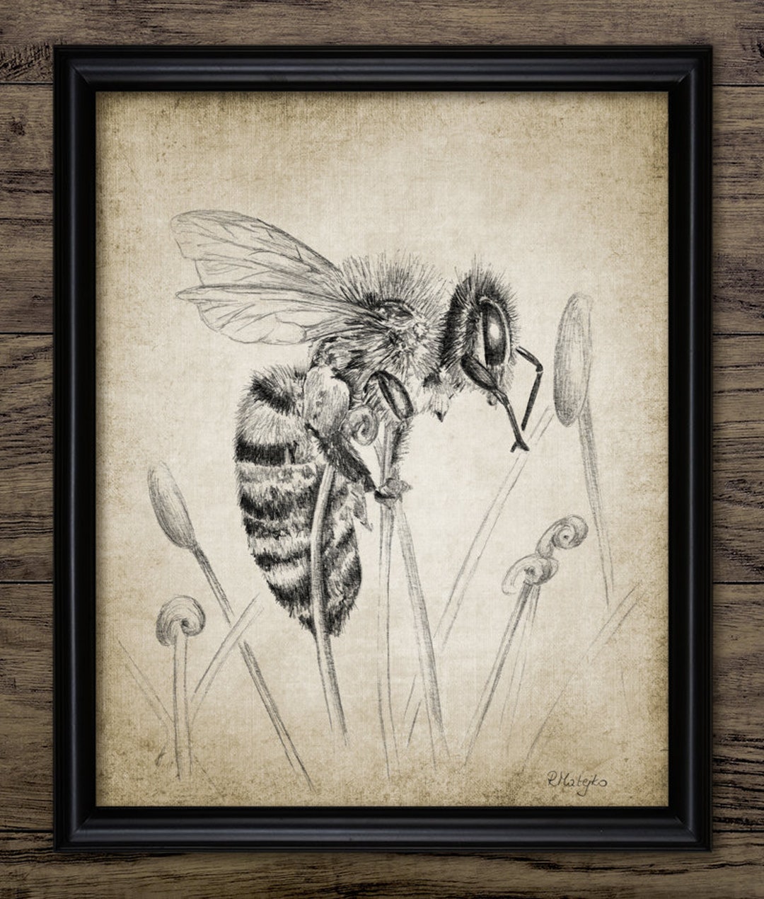 Honey Bee Pencil Drawing Wall Art, Printable Honey Bee, Beekeeping ...