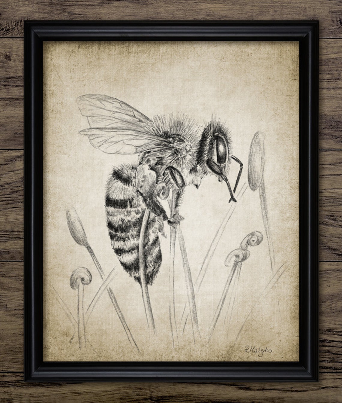 Honey Bee Pencil Drawing: A Guide to Creating a Realistic Insect Artwork