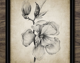 Fuchsia Pencil Drawing, Printable Fuchsia Pencil Drawing, Fuchsia ...