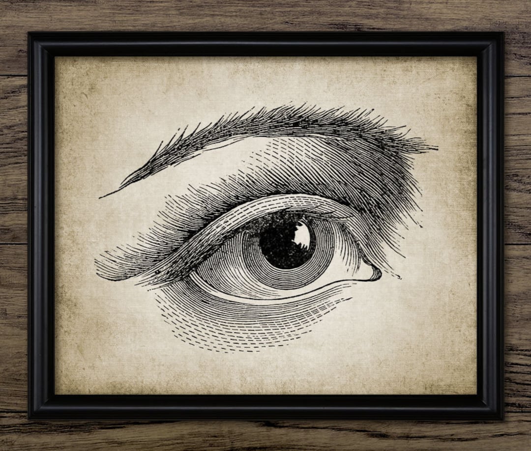 Human Eye Wall Art, Vintage Artist Eye Drawing, Human Eye Anatomy ...