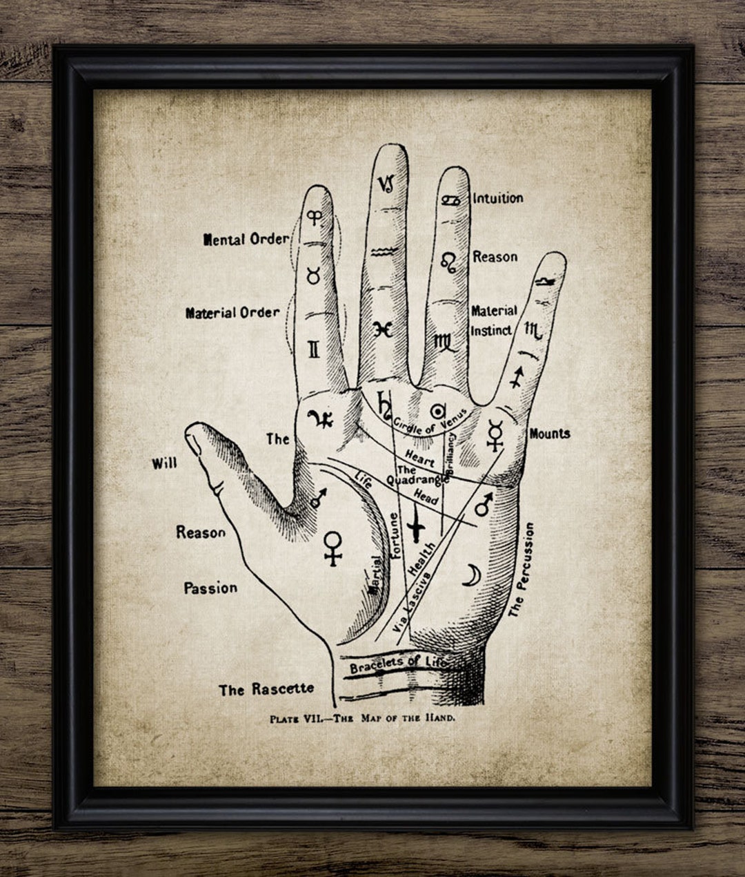 Palmistry Hand Wall Art Print, Fortune Telling, Palm Reading, Palm ...