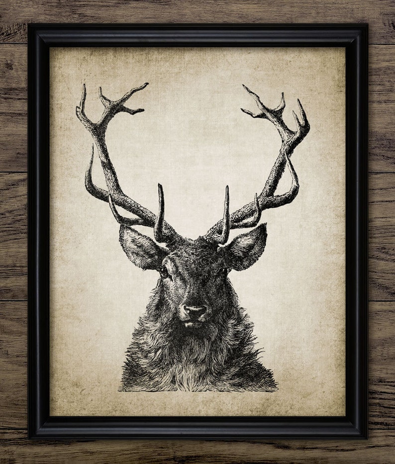 Stag Wall Art Printable Stag Drawing Buck Deer Antler - Etsy
