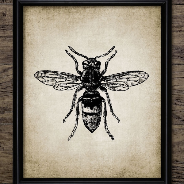 Wasp Print - Etsy