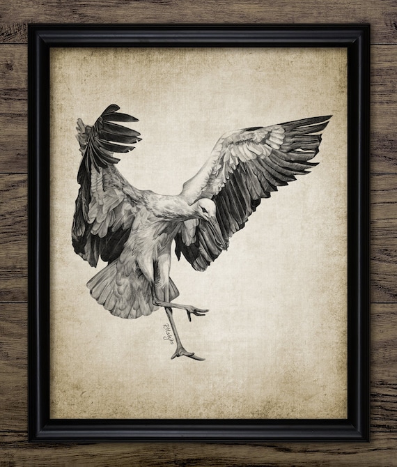 Stork Pencil Drawing Printable Stork Drawing Flying Stork | Etsy