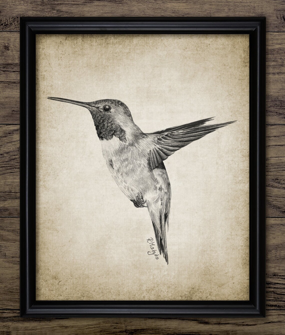 Hummingbird Pencil Drawing Hummingbird Drawing Printable - Etsy