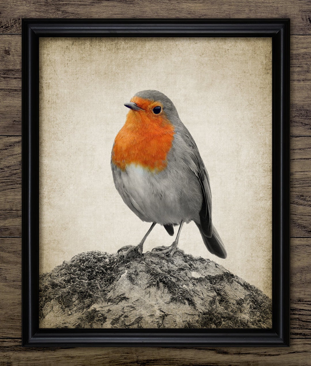 Robin Wall Art, Printable Robin, Robin Bird Decor, Robin Bird Wall Art ...