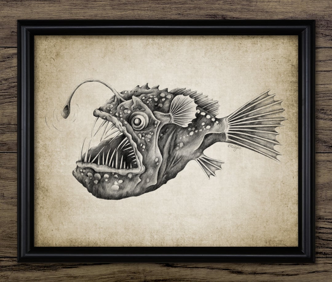 Anglerfish Print, Deep Ocean Marine Biology Illustration, Angler Fish ...
