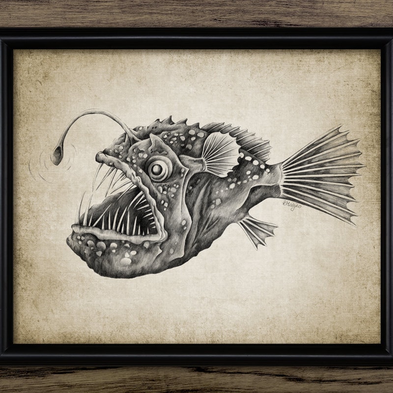 Fish Sketch - Etsy