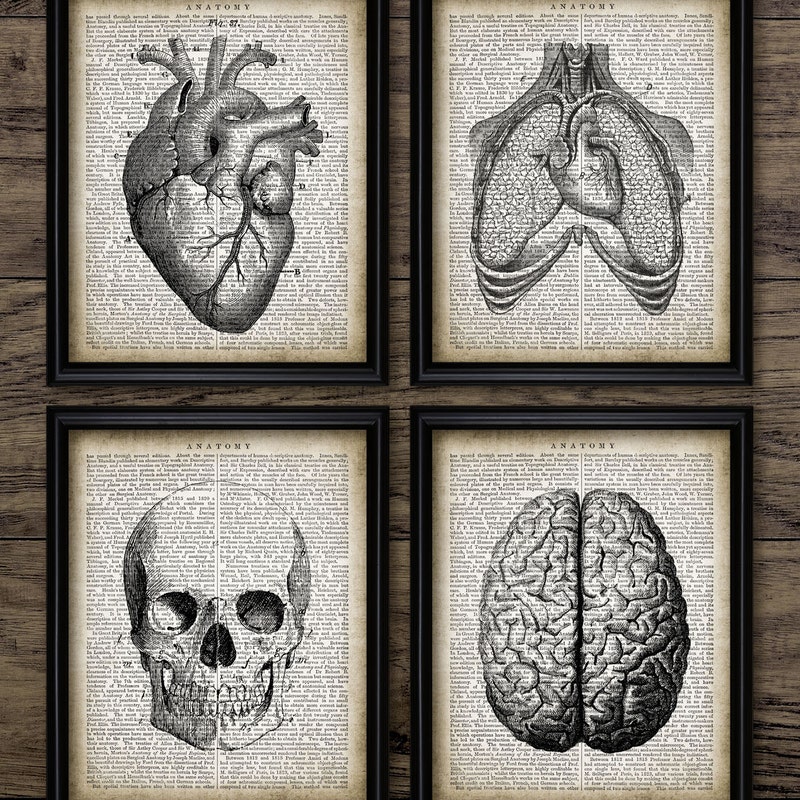 Biology Poster - Etsy