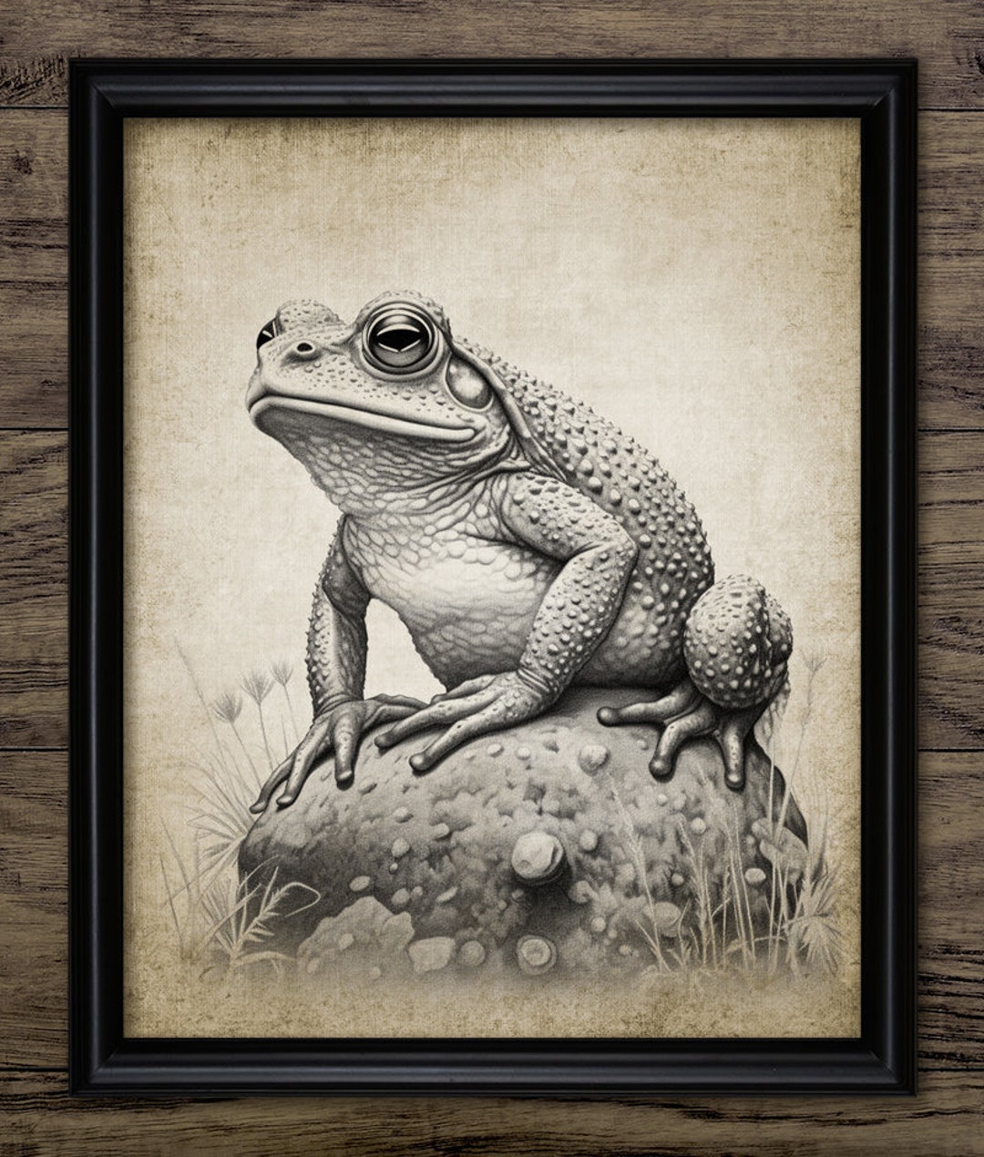 Frog Wall Art, Printable Frog, Amphibian, Frogs, Cute Frog, Frog Print ...