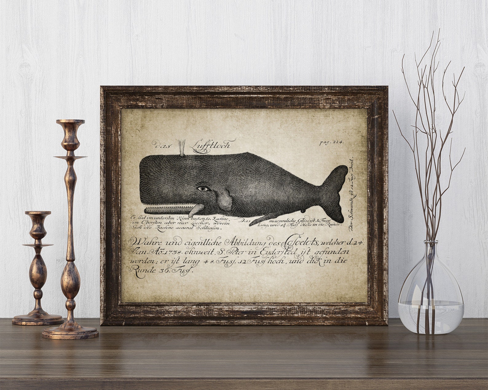 Whale Wall Art, Printable Antique Sperm Whale Art, Toothed Whale, Whale ...