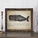 Whale Wall Art, Printable Antique Sperm Whale Art, Toothed Whale, Whale ...