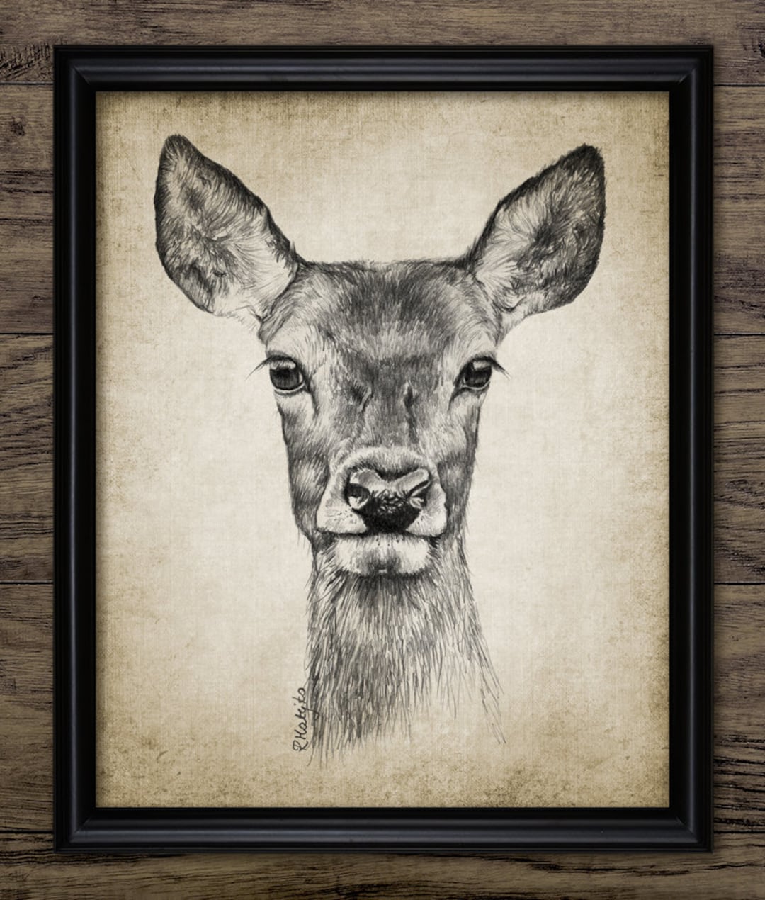 Deer Pencil Drawing, Printable Deer Drawing, Vintage Deer, Deer Hunting ...