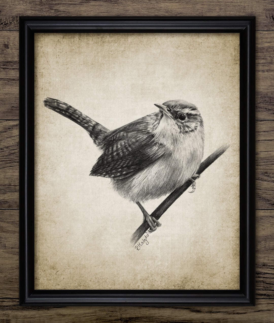 Wren Pencil Drawing, Printable Wren Drawing, Instant Bird Print, Garden ...