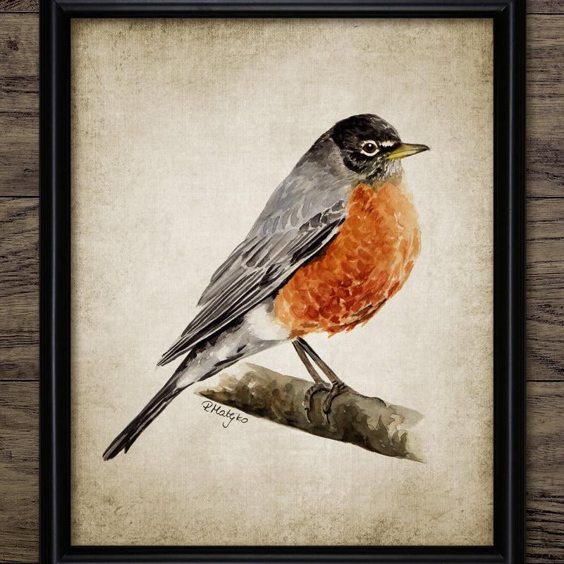 Robin Prints - Etsy UK