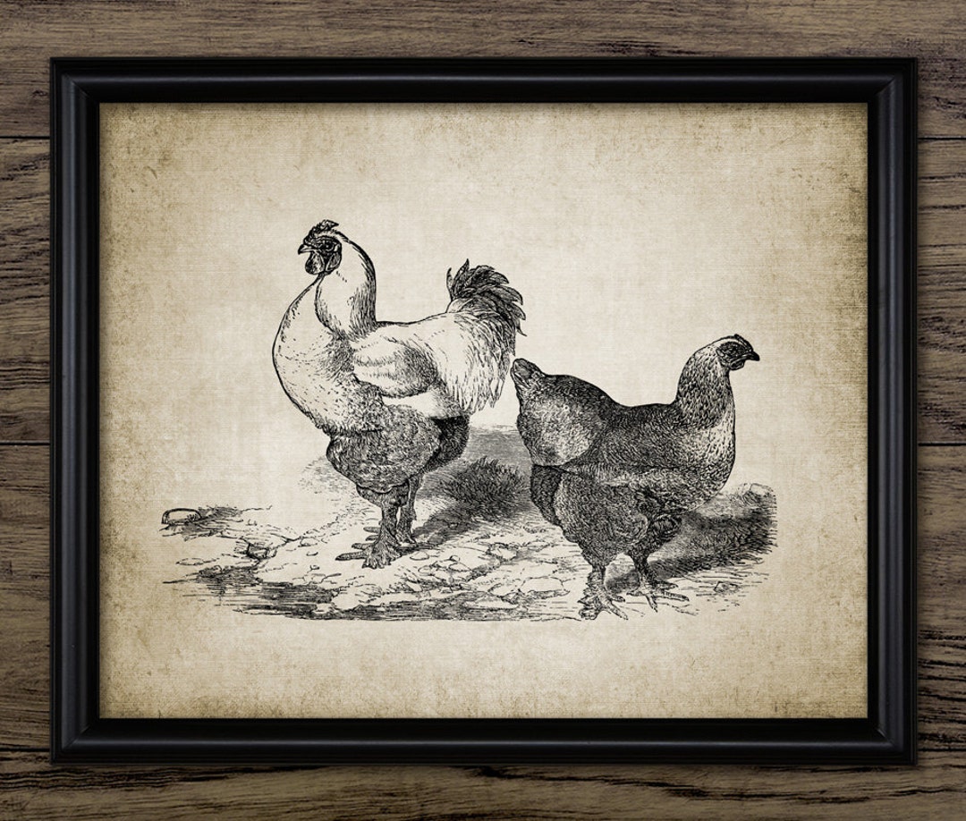 Chicken Wall Art, Printable Chickens, Farmyard Animal, Rooster, Chicken ...