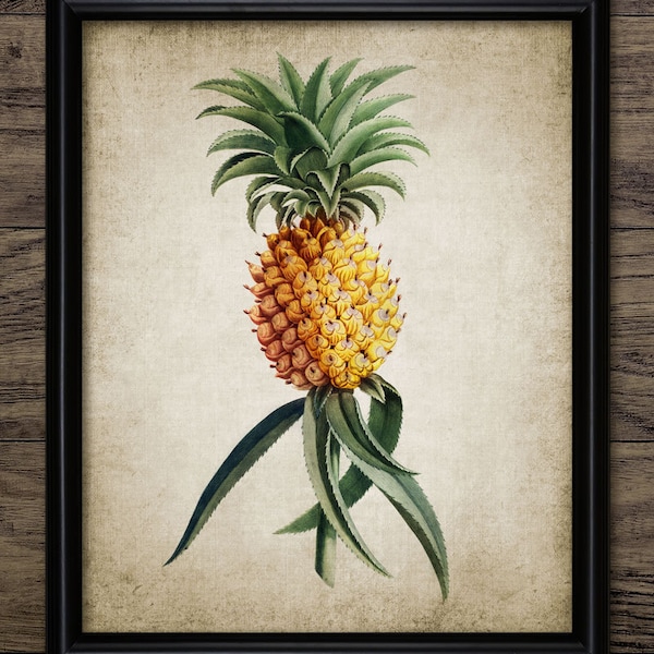 Vintage Pineapples - Etsy