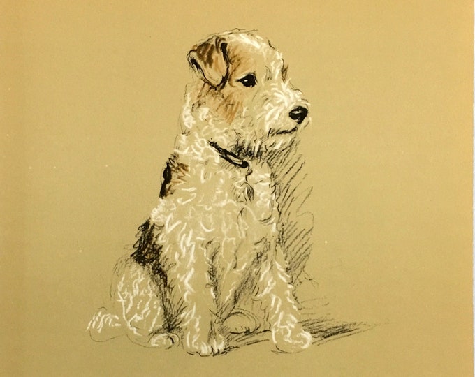 Wired Haired Terrier Dog Drawing by Lucy Dawson Art Print - Etsy