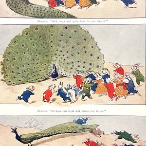 Peacock's Vanity Culmer Barnes 1927 Rabbits Vintage Children's Art ...