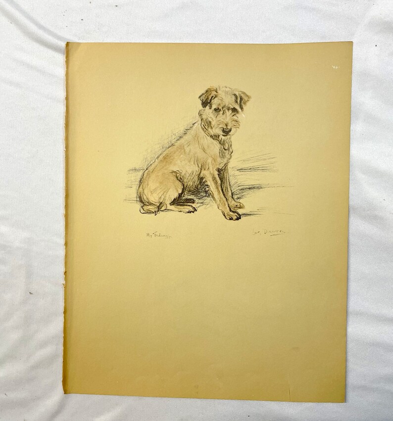 My Tailwagger - Fox Terrier Dog Drawing by Lucy Dawson Art Print 1937 ...
