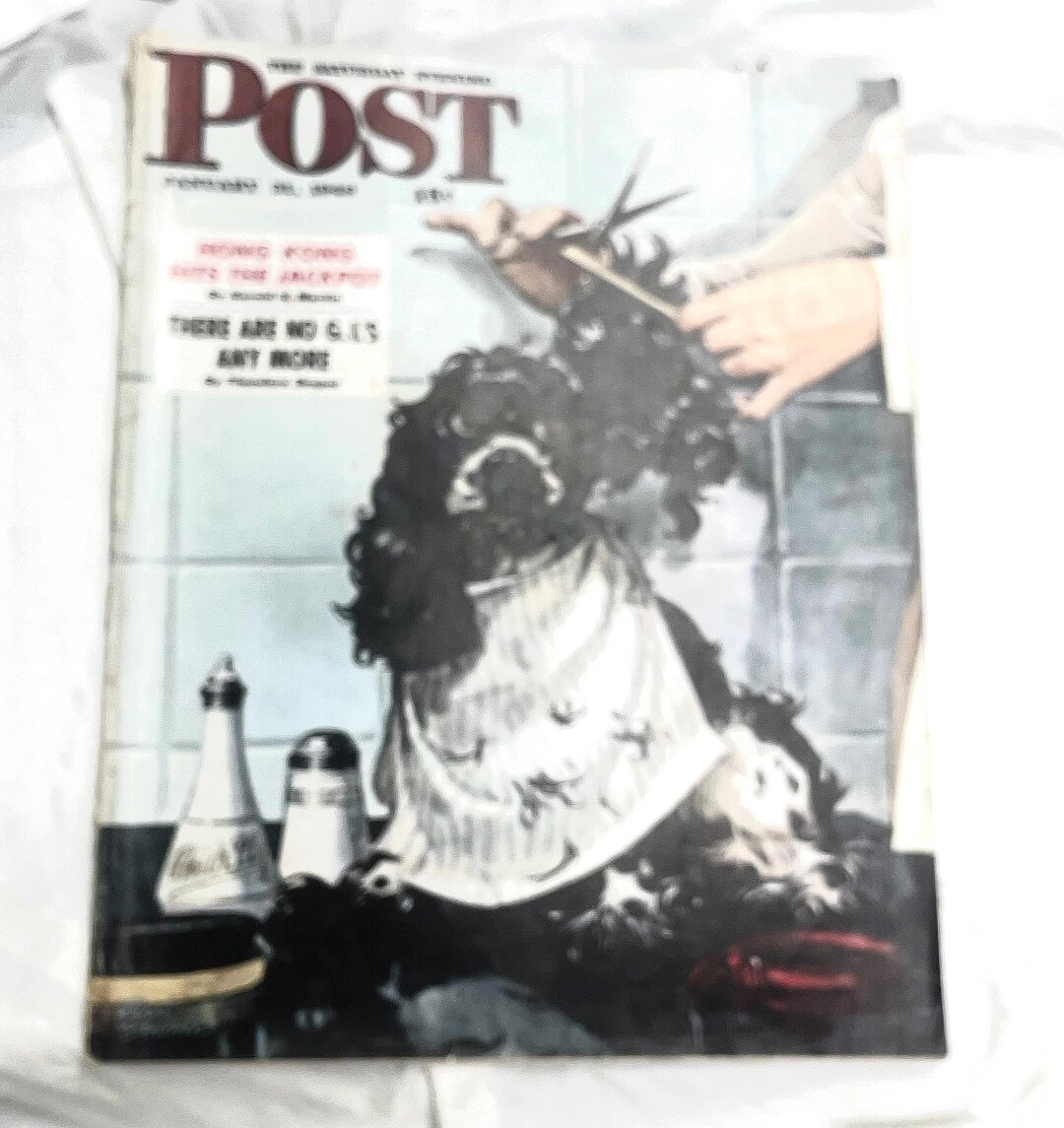 Saturday Evening Post Magazine January 31 1948 Featuring Dog Butch's ...
