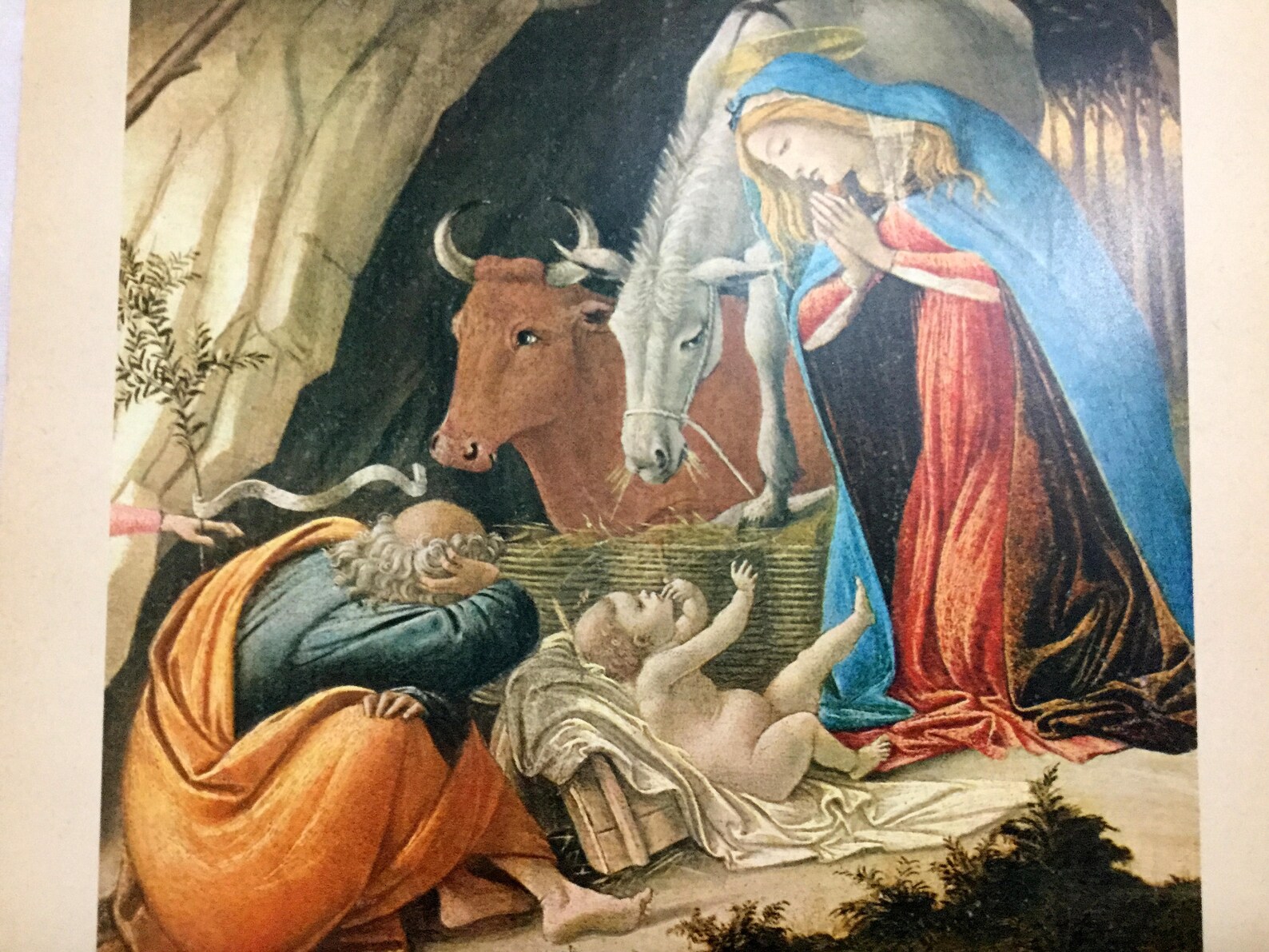 The Nativity by Botticelli Christian Art Masterpiece 1957 Photogravure ...