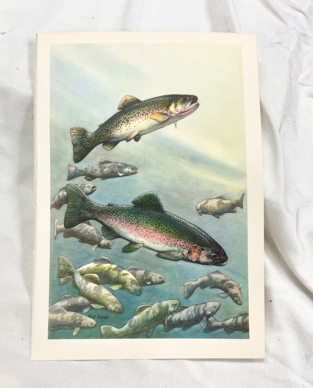 Bob Hines Wildlife Art Print Fish 1946 Rainbow Trout Antique Color ...