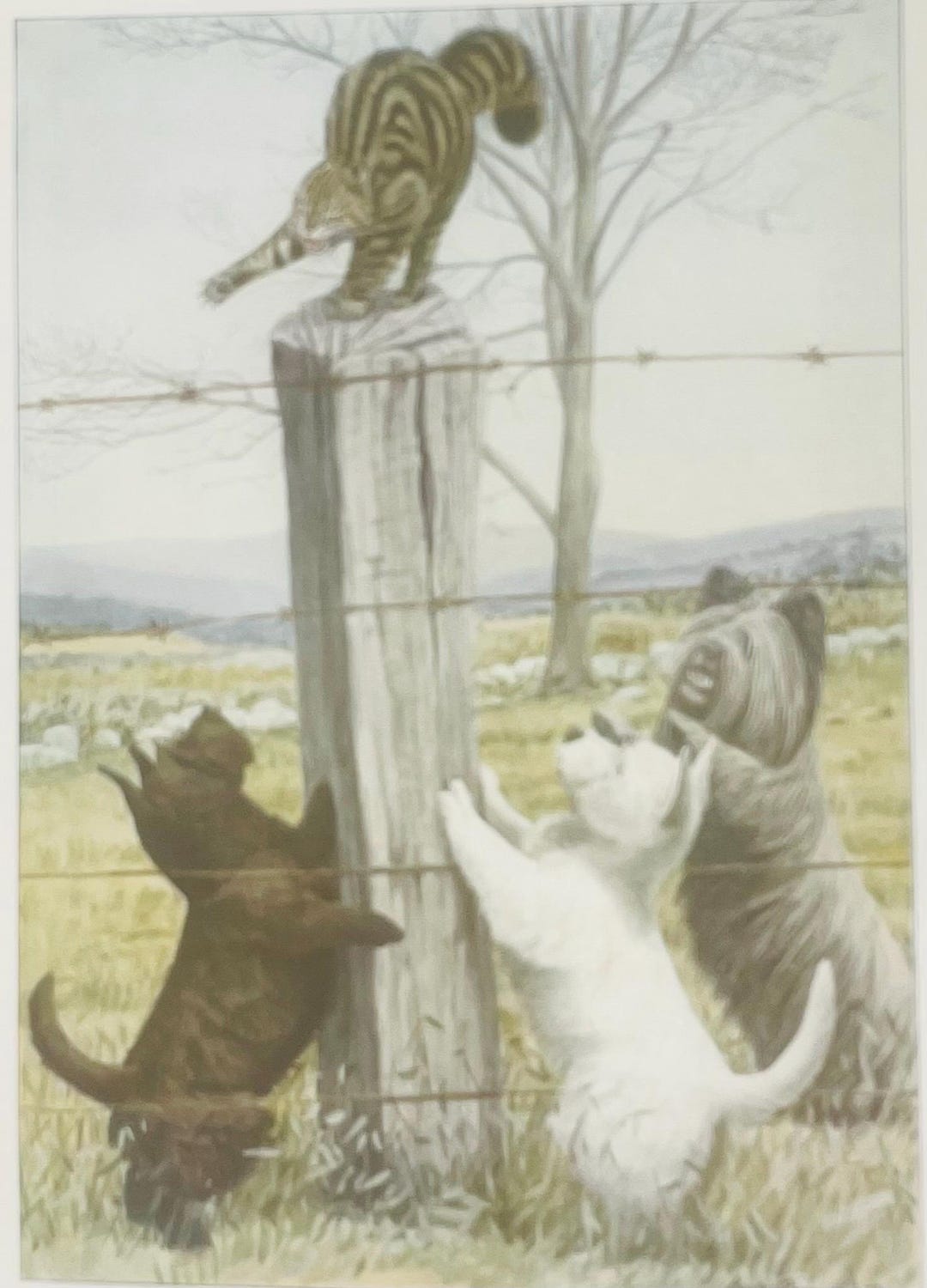 Antique Dog Art Print: Scottish & West Highland Terriers Chasing Cat - Etsy