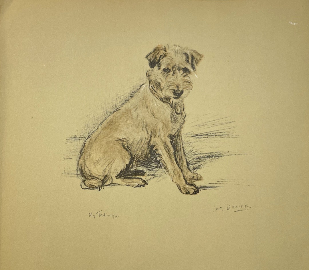 My Tailwagger - Fox Terrier Dog Drawing by Lucy Dawson Art Print 1937 ...
