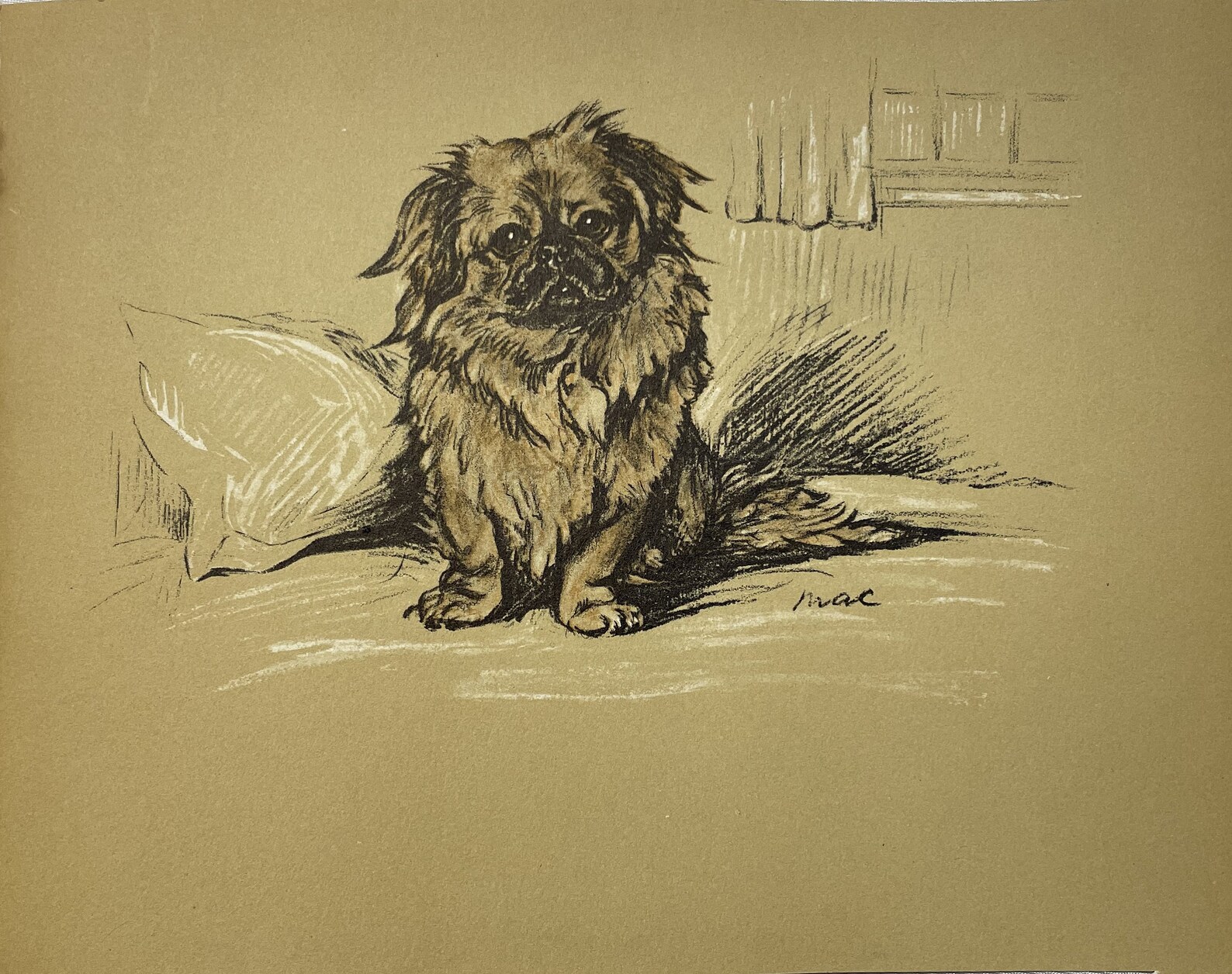Pekingese Drawing by Lucy Dawson Art Print 1937 Lithograph | Etsy