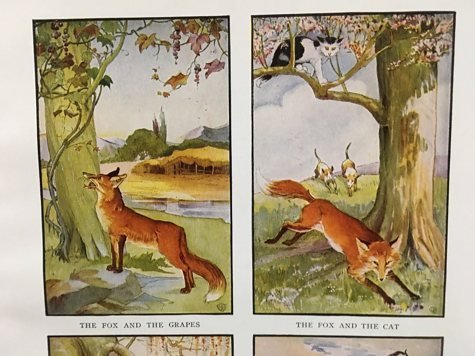 Vintage Aesops Fables Childrens Fox and Raven Heron Ants - Etsy