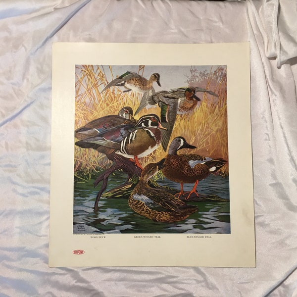 Lynn Bogue Hunt - Etsy