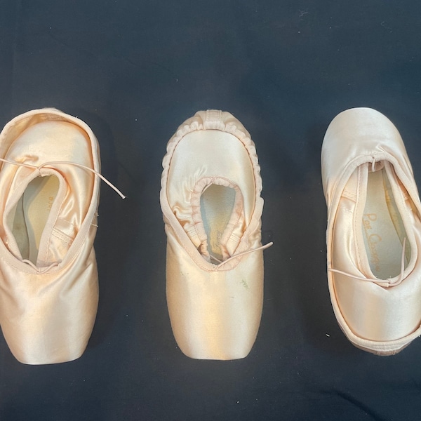 Painted Pointe Shoes - Etsy