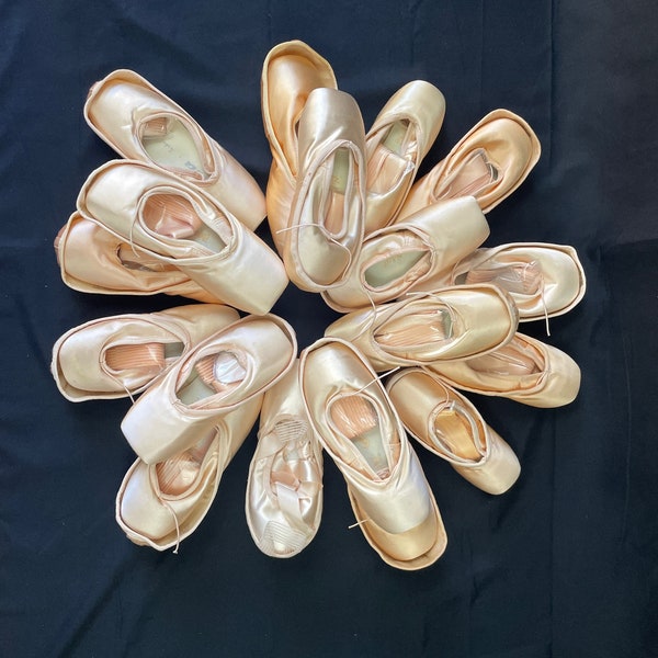 Pointe Shoe Art - Etsy