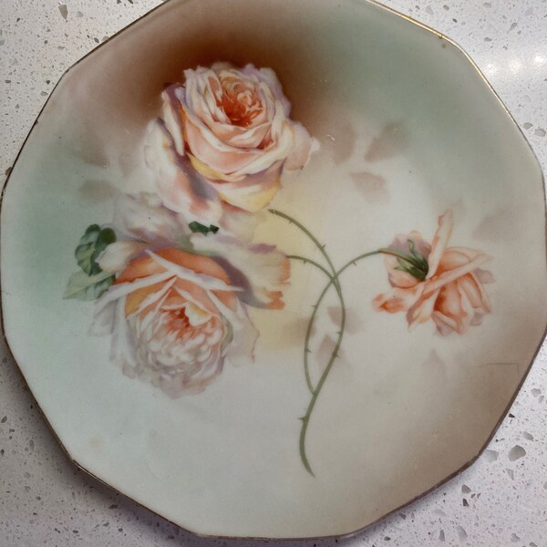 Prussia Rose Plate - Etsy