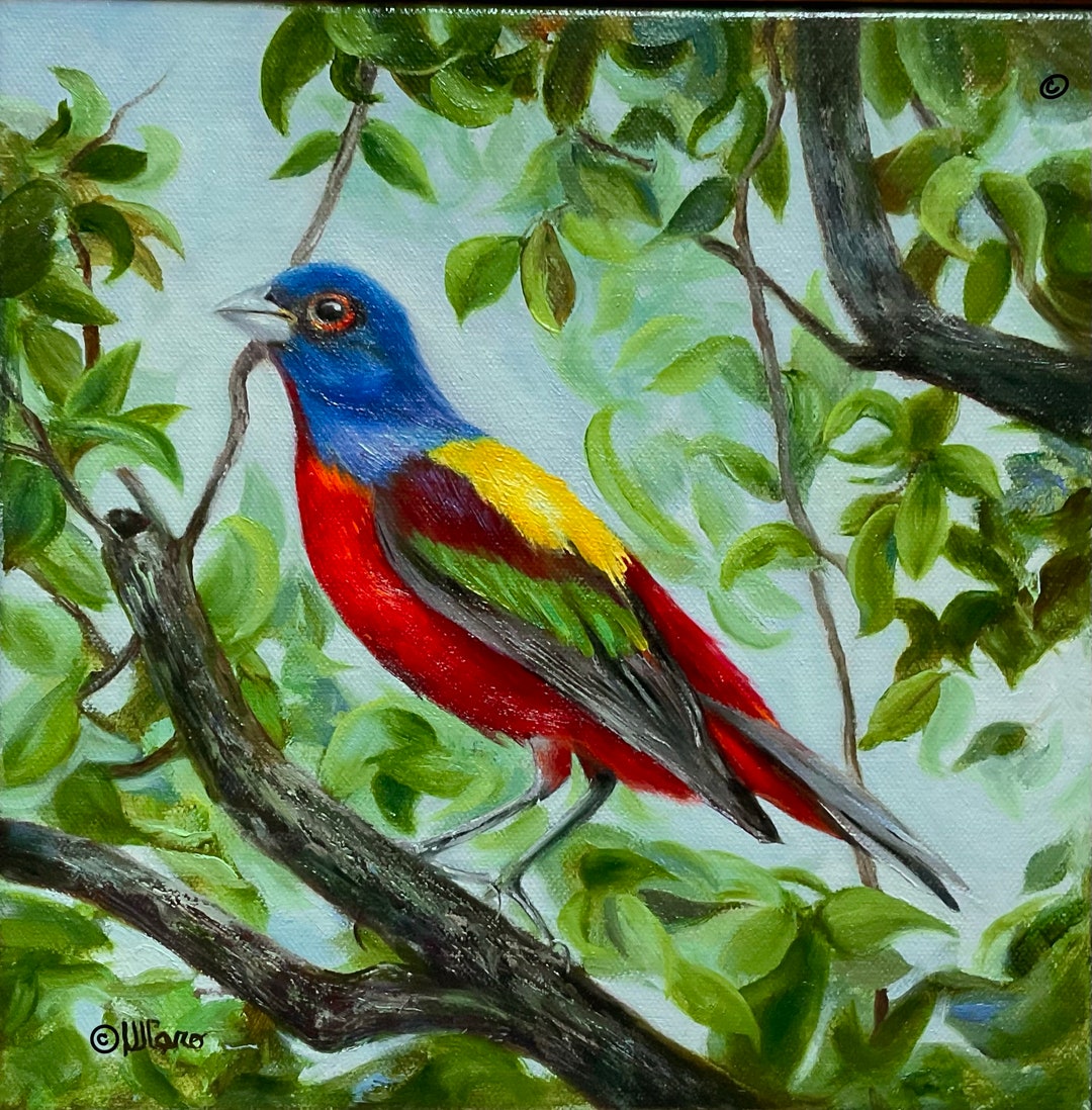 Painted Bunting Original Oil Painting, 10x10” Stretched Canvas, Bird ...