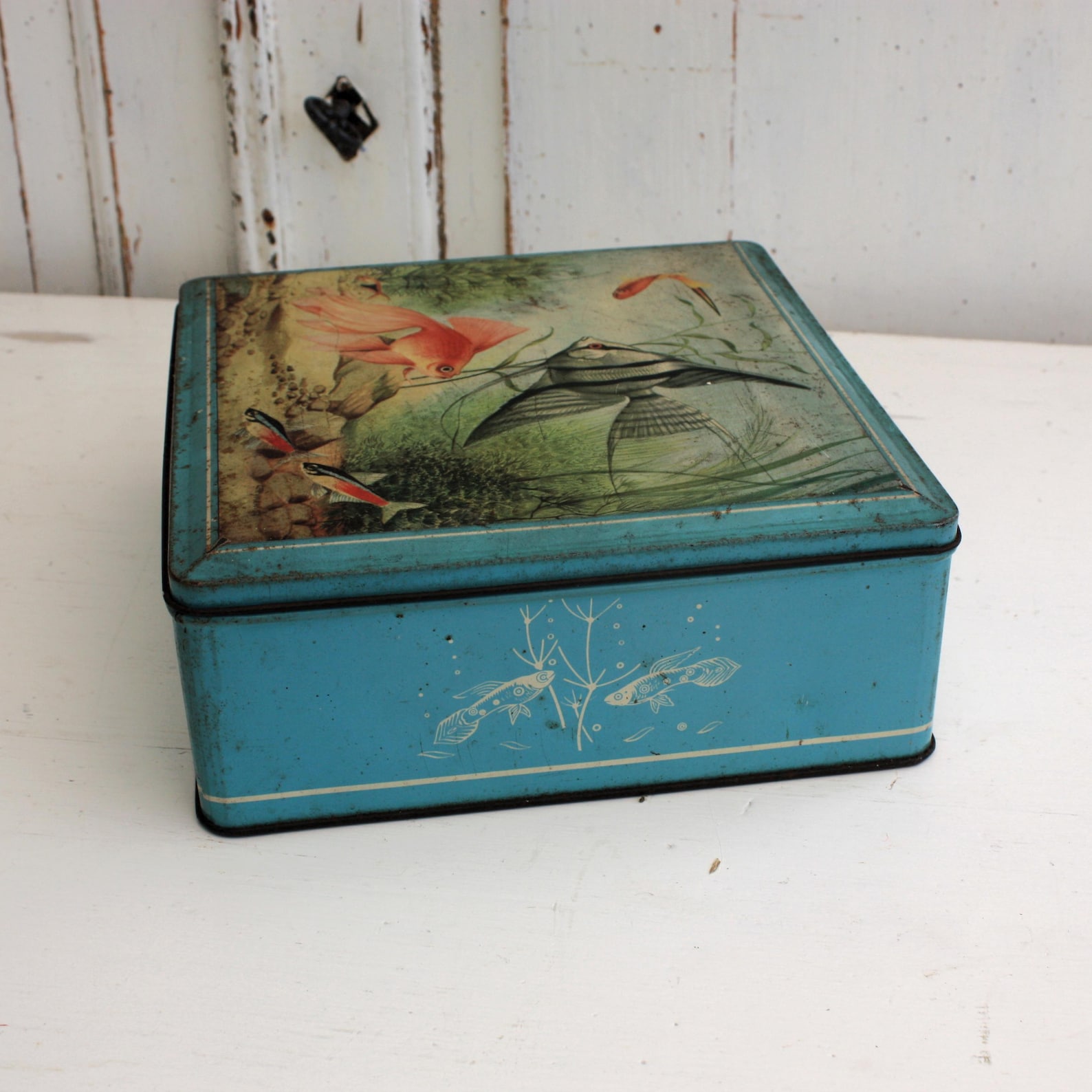 Old 60's Decorative Biscuit Tin, Vintage Fish Scene, by Van Melle ...