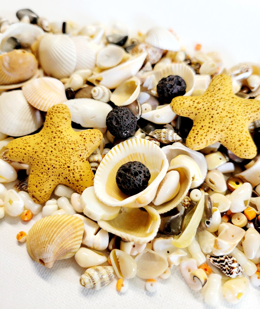 Assorted Seashells Lot: Drilled Shell Beads, Lava Rock, Mother of Pearl ...