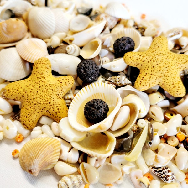Assorted Seashells - Etsy