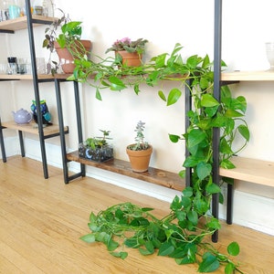 Solid Wood Console Table Lentini Design Slim Handmade Entryway Table ...