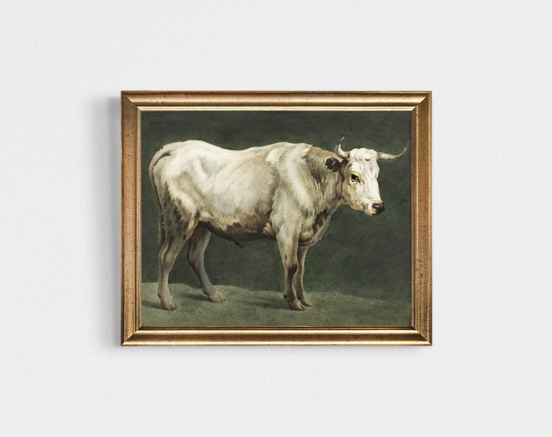 Vintage Steer Painting Print: Western Home Decor - Etsy