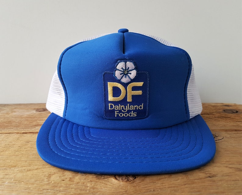 Vintage 80s DAIRYLAND FOODS Trucker Hat -snapback Mesh Retro Baseball ...